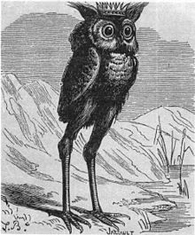 Stolas | Monster Wiki | Fandom