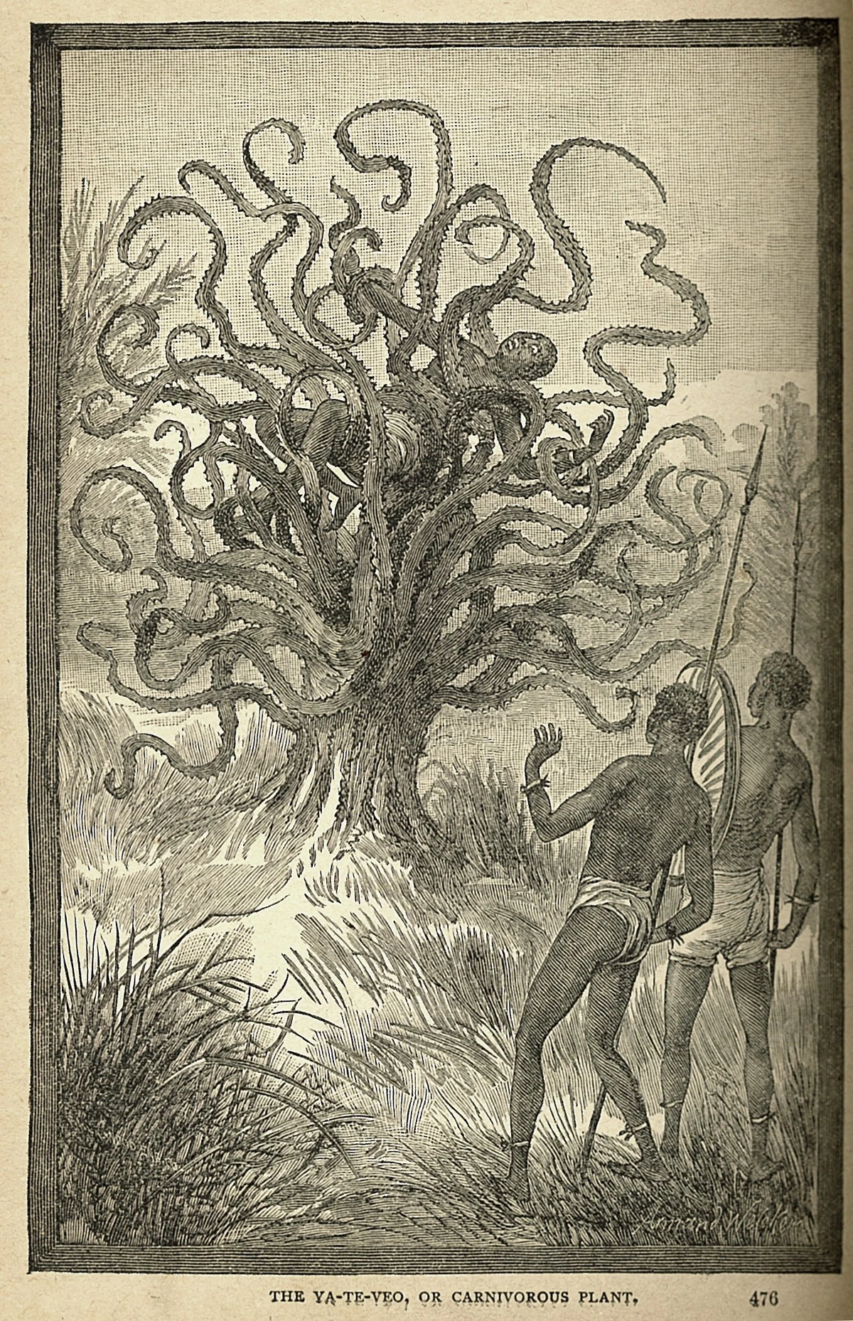 Man-Eating Tree | Monster Wiki | Fandom