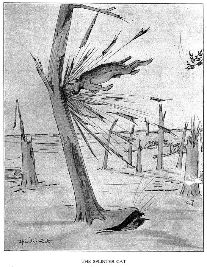 Splinter Cat | Monster Wiki | Fandom