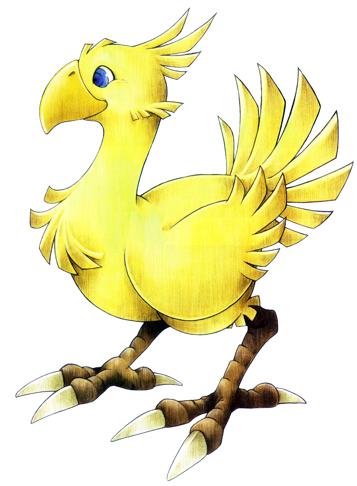 Final Fantasy 7 Chocobo