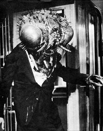 the fly monster