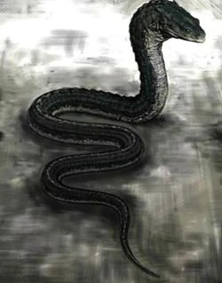 Basilisk Monster