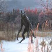Beast of the Land Between the Lakes | Monster Wiki | Fandom