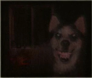 The Rake Vs Smile Dog