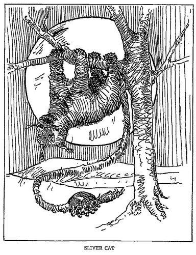 Sliver Cat | Monster Wiki | Fandom