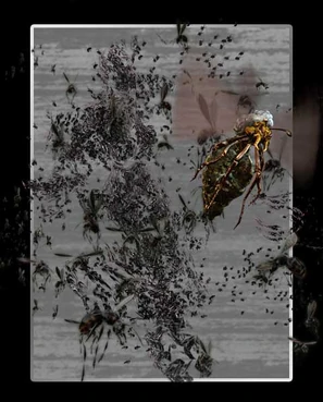 Gnezdo | Monster Wiki | Fandom