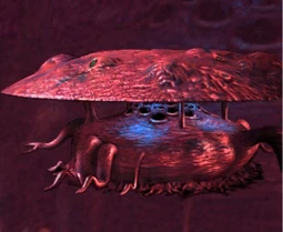 Alien Dimension (Apocalypse) | Monster Wiki | Fandom