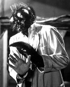 The Fly | Monster Wiki | Fandom