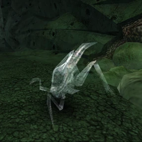 Worker Splinter | Monster Wiki | Fandom