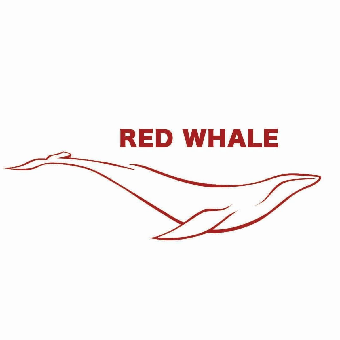 Red Whale | Monster Allergy Wiki | Fandom