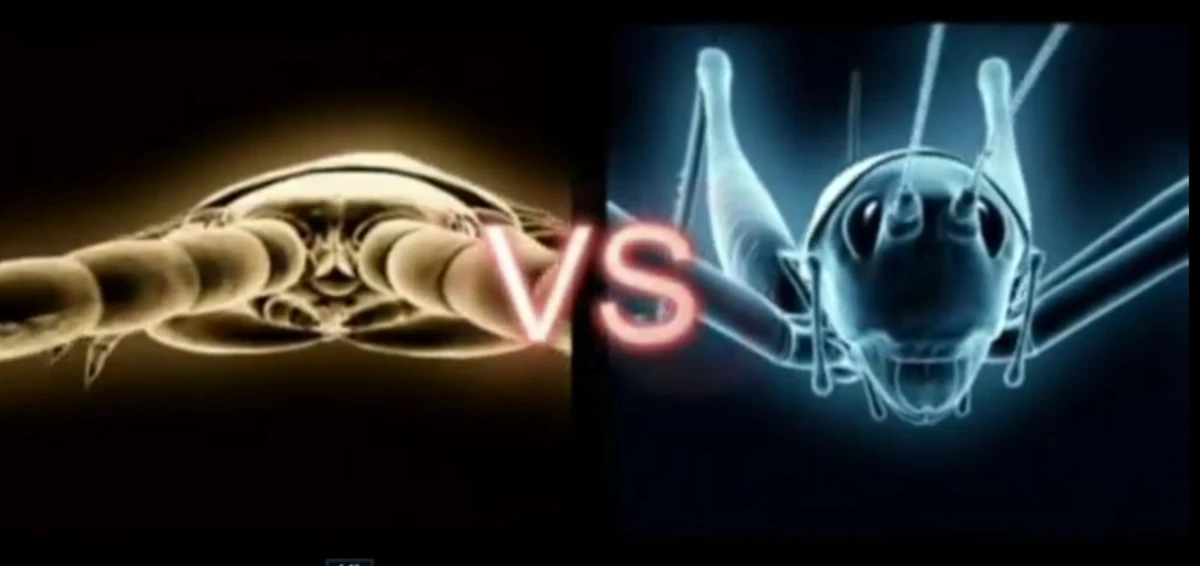 Pilot Episode | Monster Bug Wars Wikia | Fandom