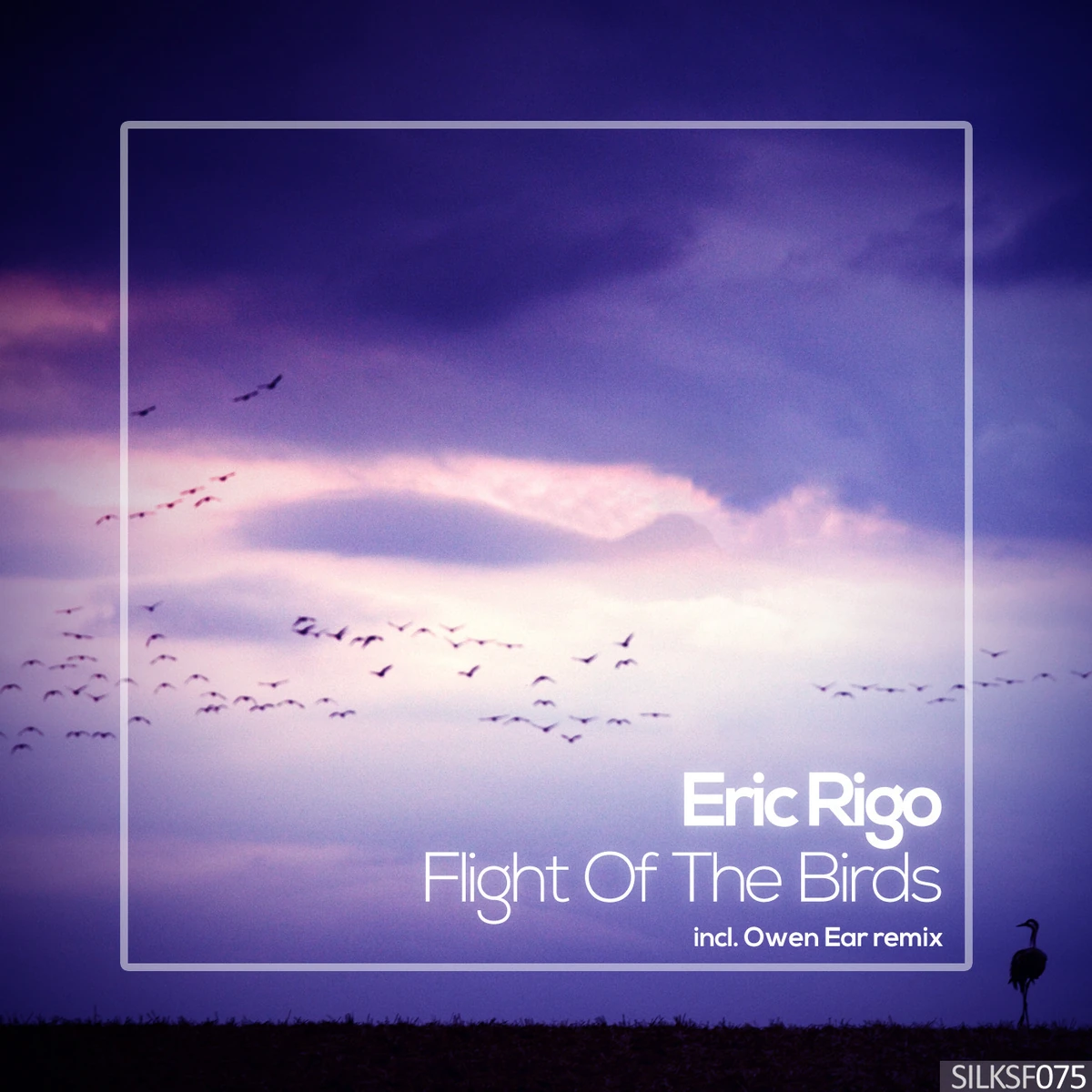 Flight Of The Birds | Monstercat Wiki | Fandom