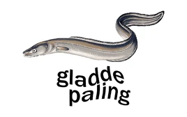 gladde paling | Monstercat Wiki | Fandom