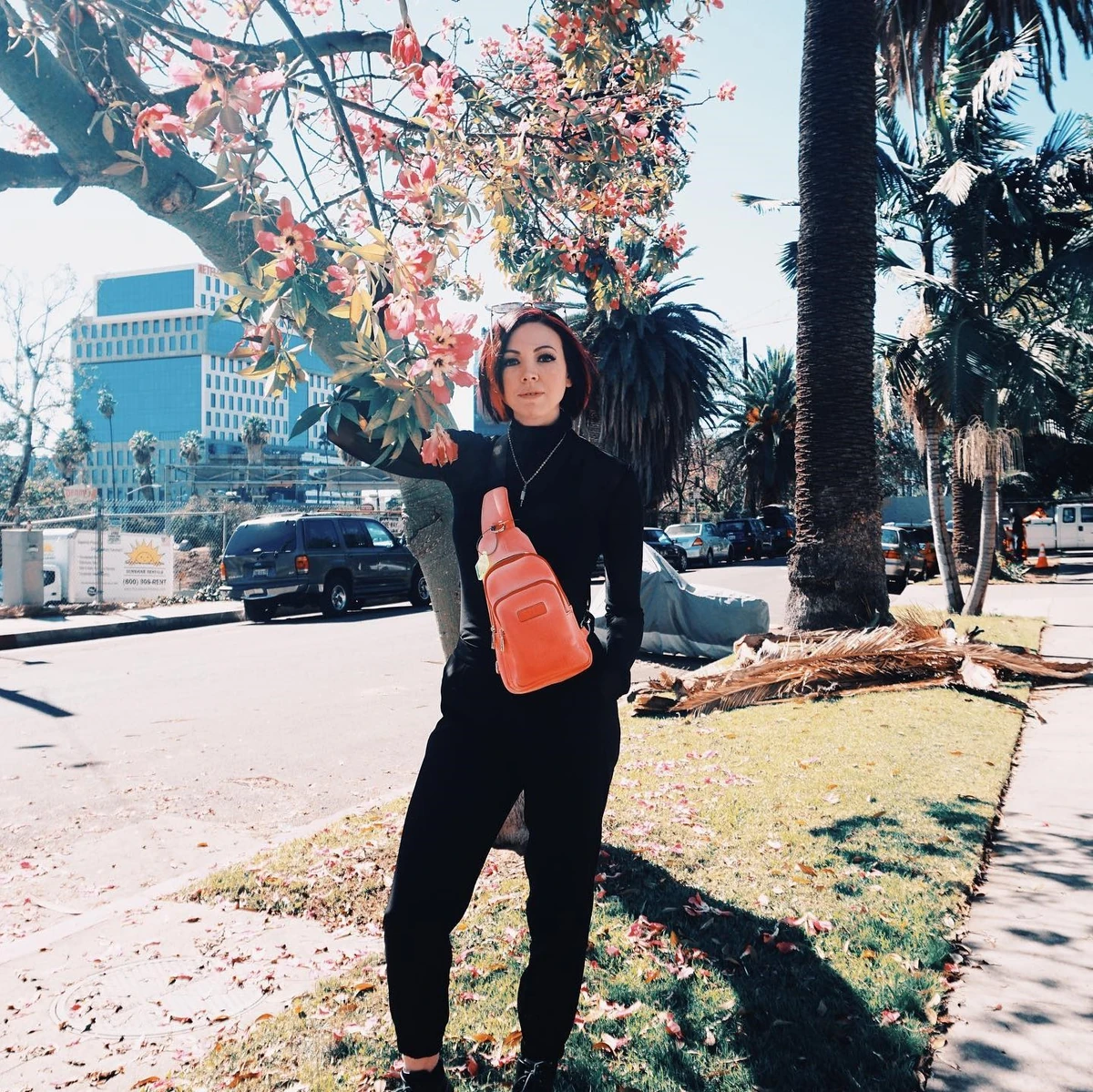 Dani Deahl | Monstercat Wiki | Fandom