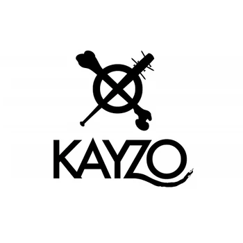 Kayzo | Monstercat Wiki | Fandom