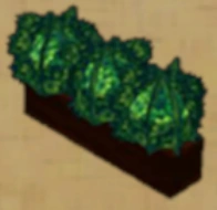 Plant L (Grass) | Monster Girls and the Mysterious Adventure Wiki | Fandom