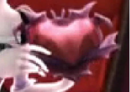 Corazón Vampiro | Wiki Monster High | Fandom