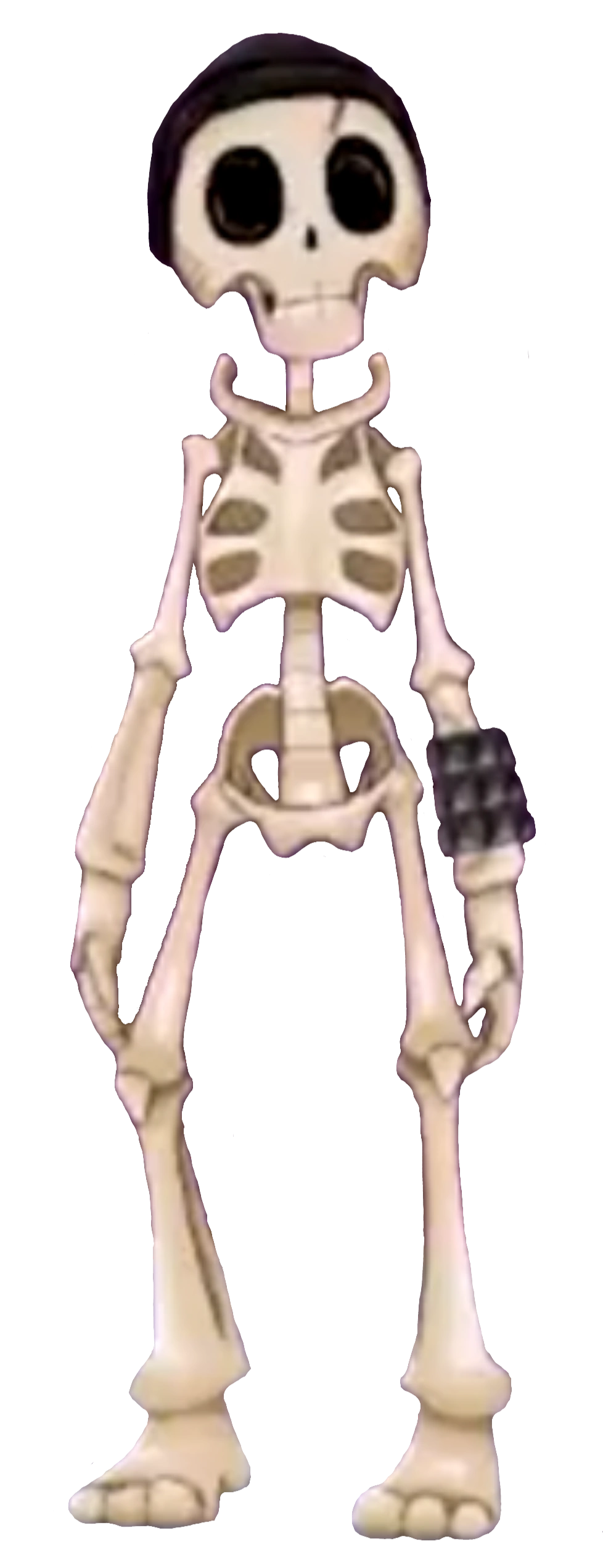 Skelly (G2) | Monster High Wiki | Fandom