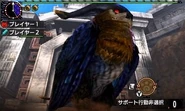 Malfestio Photo Gallery | Monster Hunter Wiki | Fandom