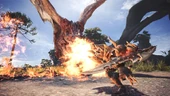 Rathalos/Monster Hunter: World | Monster Hunter Wiki | Fandom
