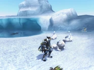 Pokara Photo Gallery | Monster Hunter Wiki | Fandom