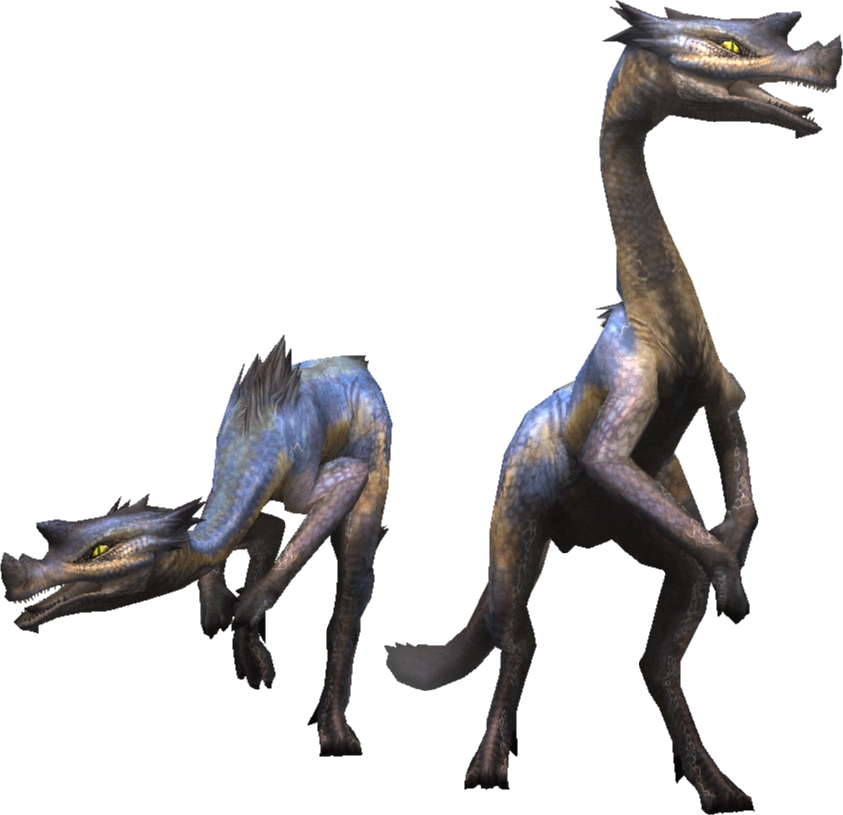 Baggi Photo Gallery | Monster Hunter Wiki | Fandom