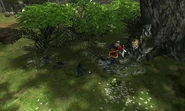 Kokoto Village | Monster Hunter Wiki | Fandom