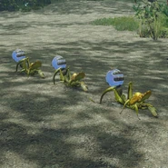 Altaroth Photo Gallery | Monster Hunter Wiki | Fandom