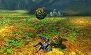 Konchu Photo Gallery | Monster Hunter Wiki | Fandom