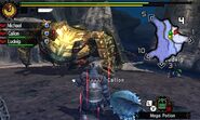 Desert Seltas Queen Photo Gallery | Monster Hunter Wiki | Fandom