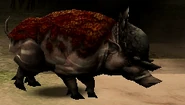 Mosswine Photo Gallery | Monster Hunter Wiki | Fandom