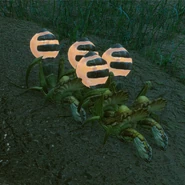 Altaroth Photo Gallery | Monster Hunter Wiki | Fandom