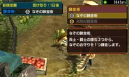 Kokoto Village | Monster Hunter Wiki | Fandom