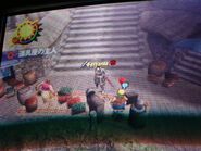 Jumbo Village | Monster Hunter Wiki | Fandom