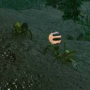 Altaroth Photo Gallery | Monster Hunter Wiki | Fandom