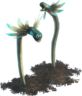 Wiggler | Monster Hunter Wiki | Fandom
