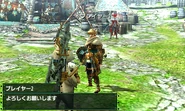 Bherna | Monster Hunter Wiki | Fandom