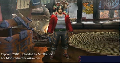 MHP3: High Rank Blademaster | Monster Hunter Wiki | Fandom