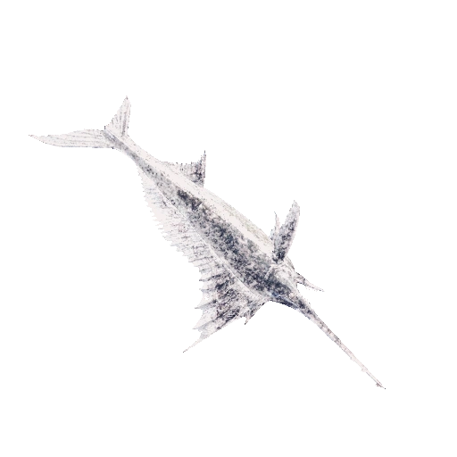 Xiphias Gladius (MHWI) | Monster Hunter Wiki | Fandom