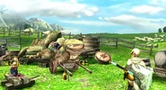 Bherna | Monster Hunter Wiki | Fandom