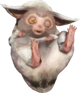 MHWI: Endemic Life List | Monster Hunter Wiki | Fandom