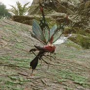 Bnahabra Photo Gallery | Monster Hunter Wiki | Fandom