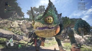 Pukei-Pukei Photo Gallery | Monster Hunter Wiki | Fandom
