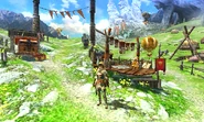 Bherna | Monster Hunter Wiki | Fandom