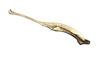 Bone (MHGU) | Monster Hunter Wiki | Fandom