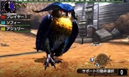 Malfestio Photo Gallery | Monster Hunter Wiki | Fandom