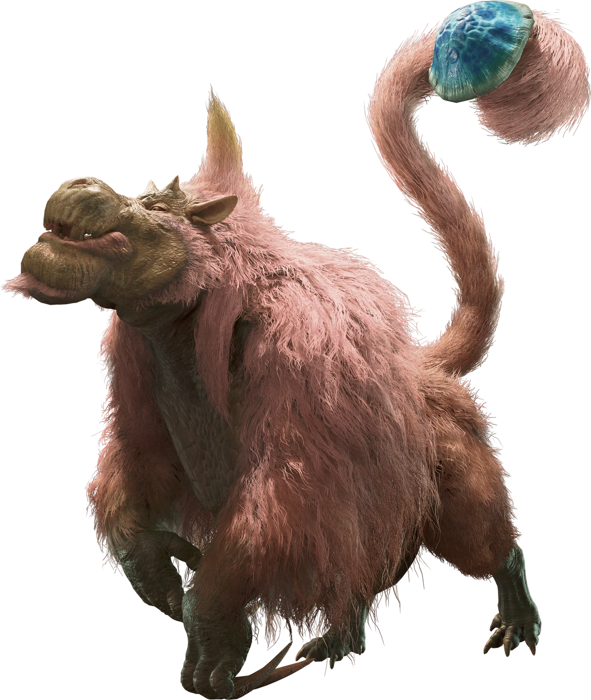 Congalala | Monster Hunter Wiki | Fandom