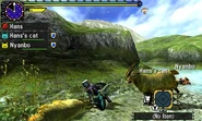 Moofah Photo Gallery | Monster Hunter Wiki | Fandom
