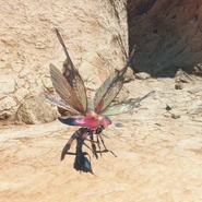 Bnahabra Photo Gallery | Monster Hunter Wiki | Fandom