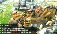 Bherna | Monster Hunter Wiki | Fandom